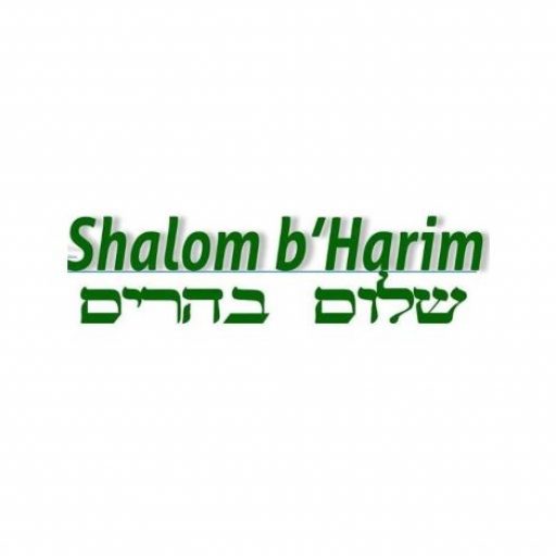 Home - Shalom b'Harim | Jewish Synagogue in Gainesville, GA | Tikkun Olam